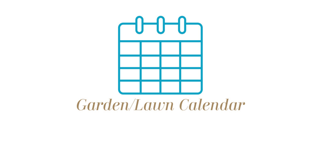 THGC | where ideas blossom